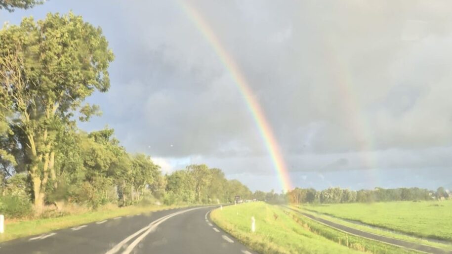 AP brief ontvangen? Privacy compliance scan voorkomt AVG boete